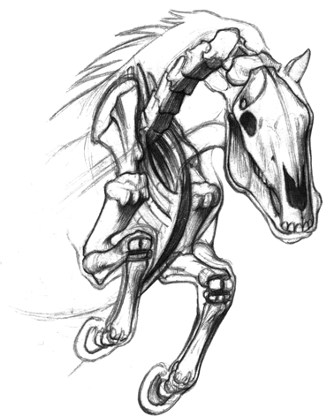Horse Skeleton (in Clipart)