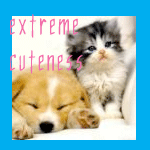 extreme cuteness (in Clipart)