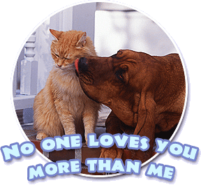 Glitter Graphics: the community for graphics enthusiasts!